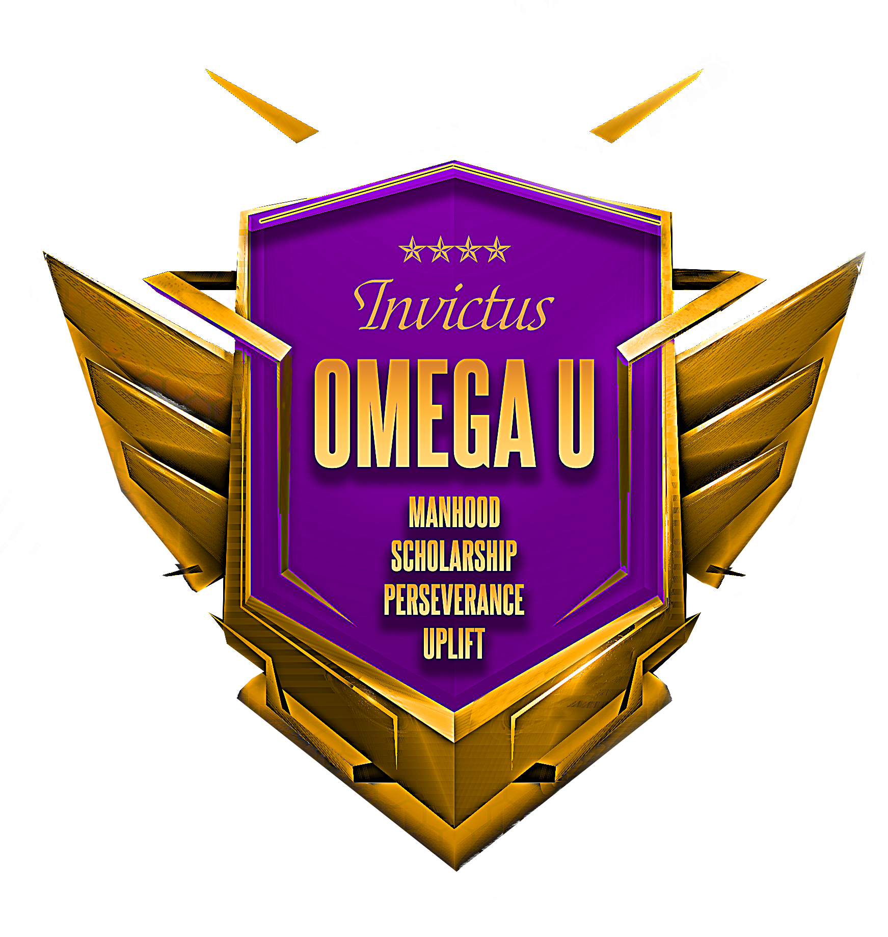 Omega U – Non-Profit Mentoring Program